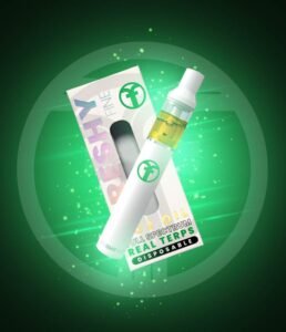 CO2 OIL DISPOSABLE VAPE – Freshy Fine