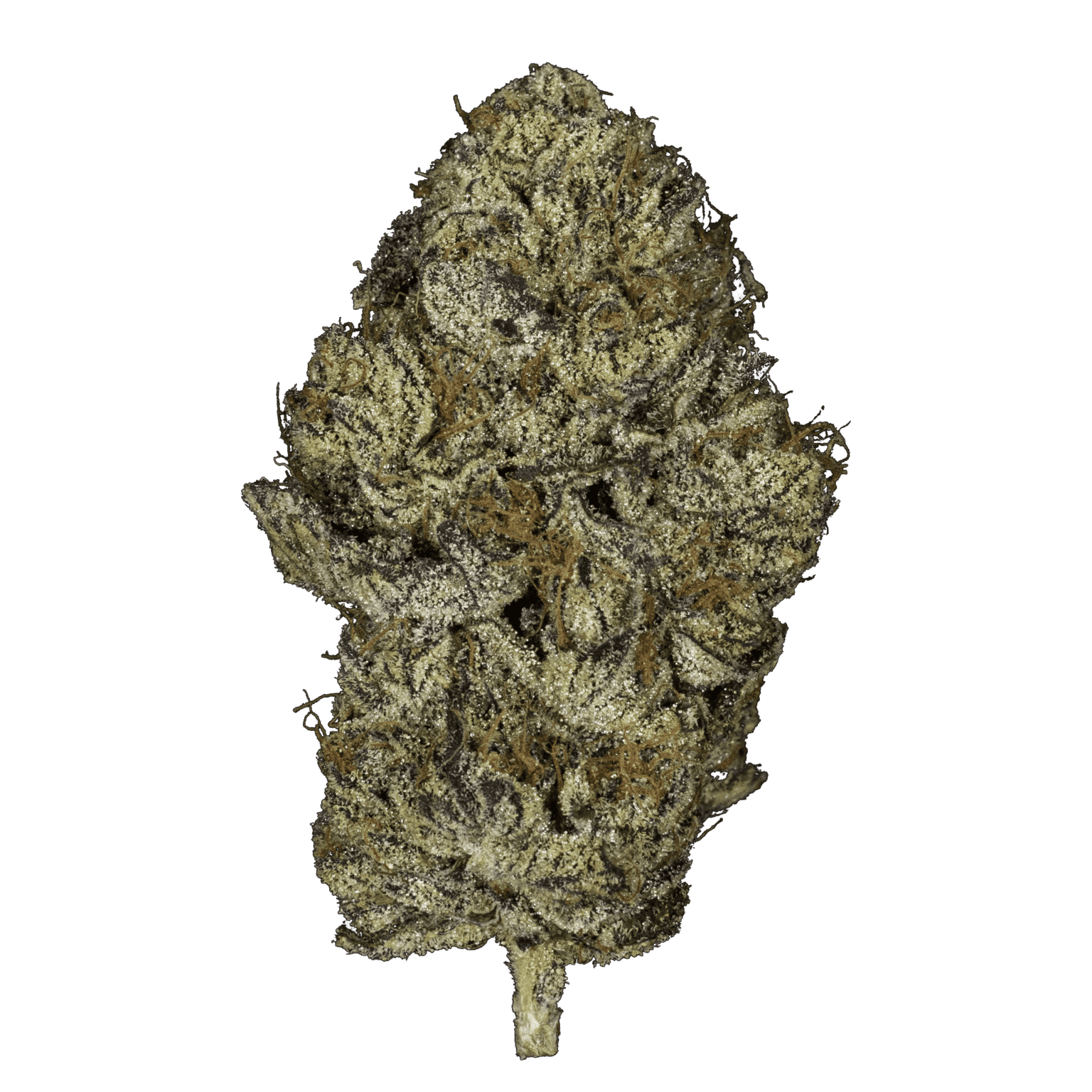 STRAINS – Freshy Fine
