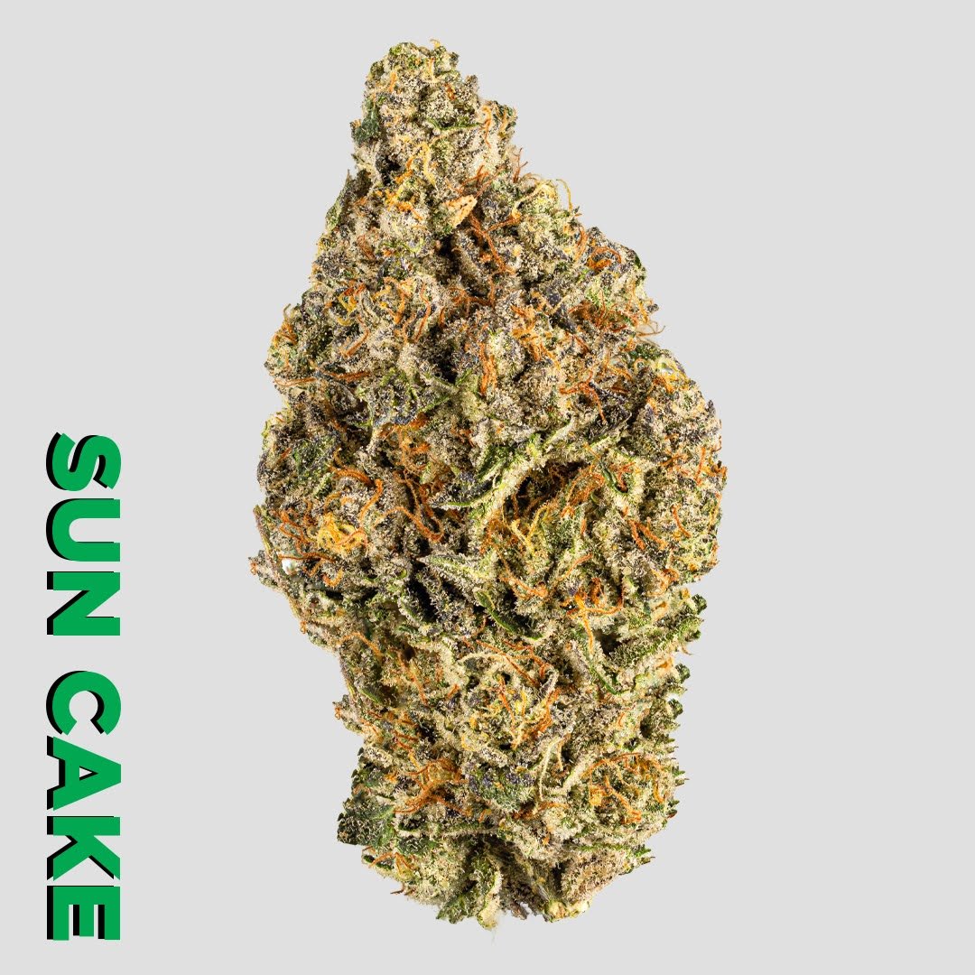 SUN CAKE – Freshy Fine