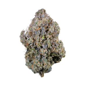 STRAINS – Freshy Fine