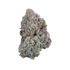 STRAINS – Freshy Fine